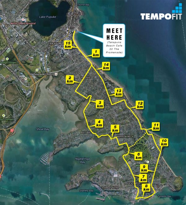Our Favourite Auckland Runs